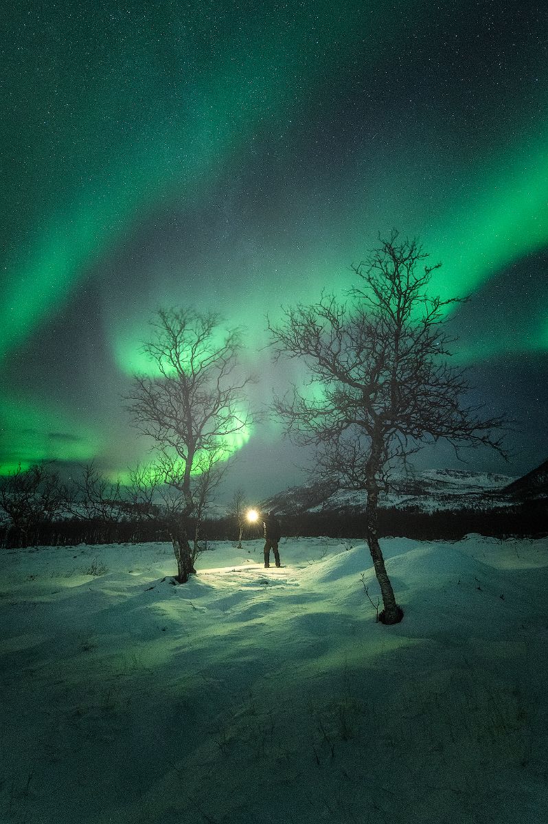 How to Choose the Best Northern Lights Tour in Tromso? (2024) | Guide ...