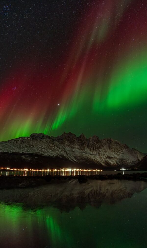 Tromso-Senja Ferry: Info, Timetables & Prices | Guide to Lofoten