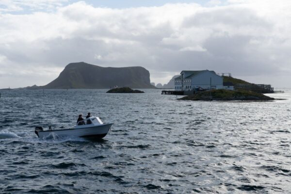 Røst Island: A Journey to Lofoten's Edge | Guide to Lofoten