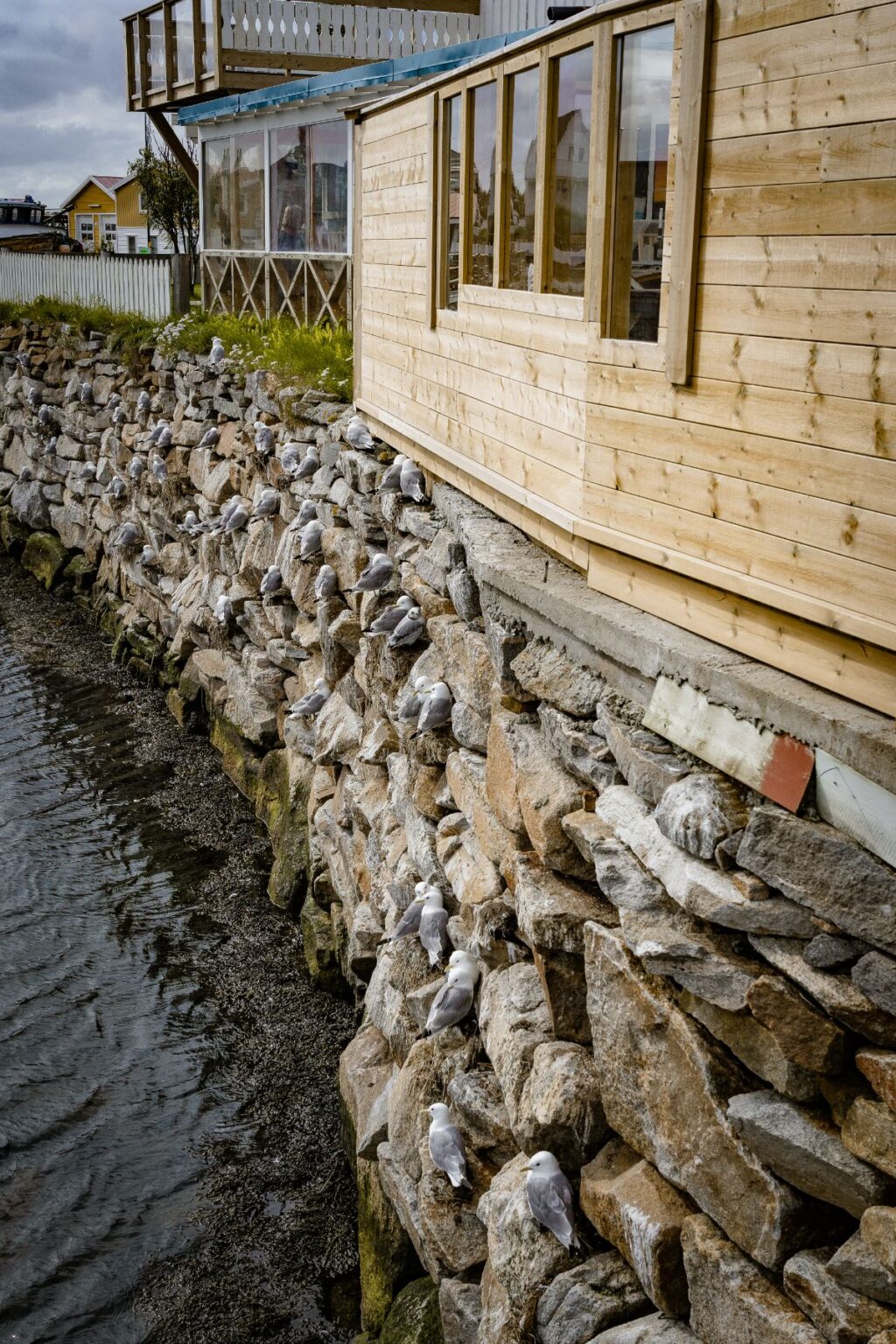 Røst Island: A Journey to Lofoten's Edge | Guide to Lofoten