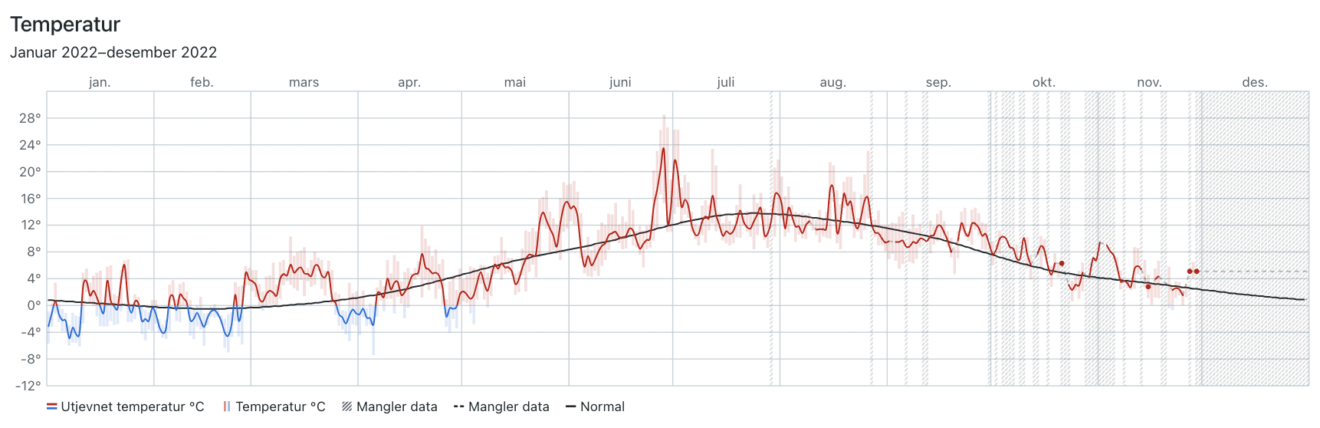 Lofoten in Winter: 13 Things You Must Know