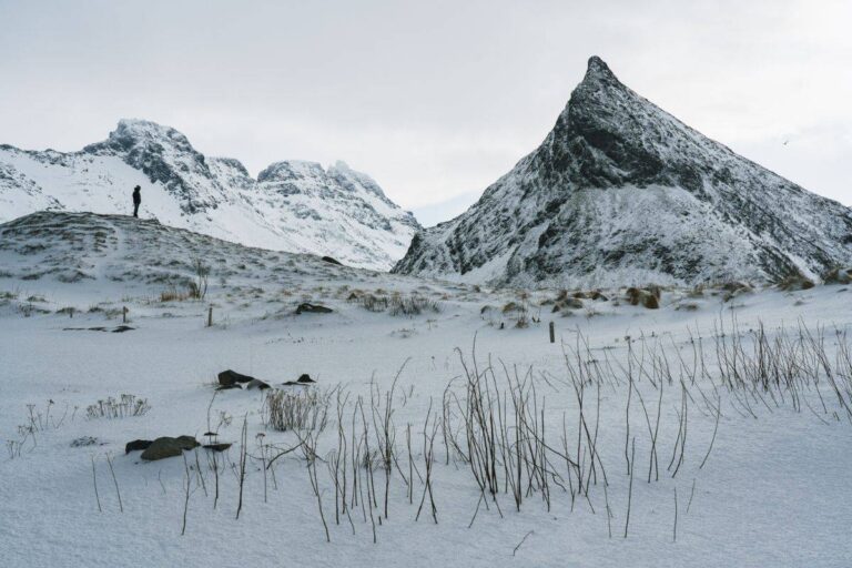 Lofoten in Winter: 13 Things You Must Know