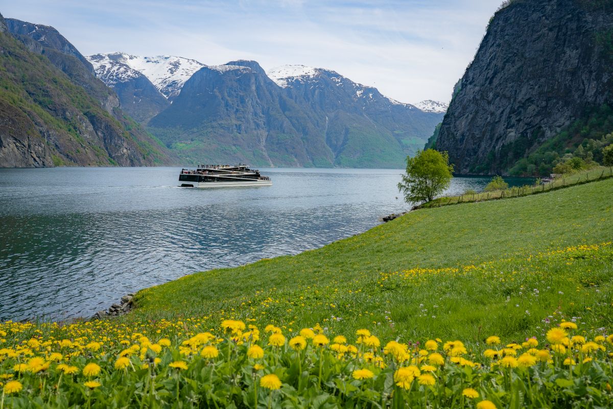 How To Book Norway In a Nutshell On Your Own | Guide to Lofoten